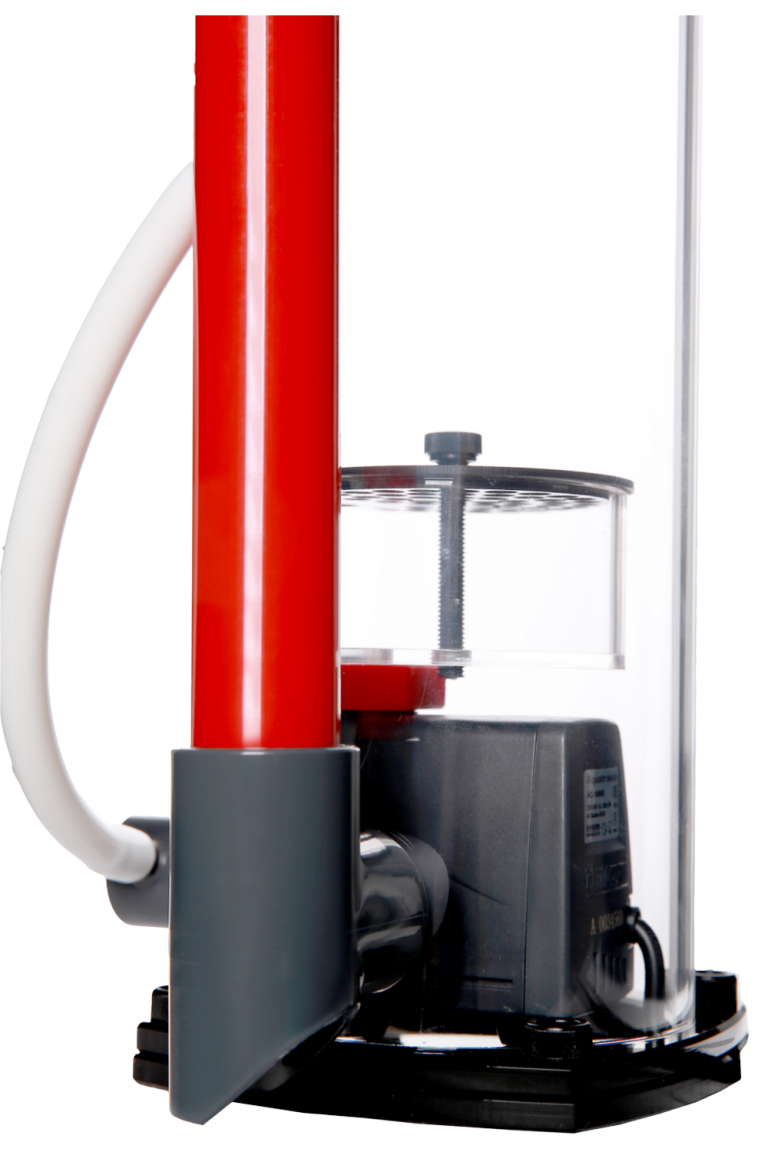 Classic Protein Skimmer S Straight body (2 models available) – Reef ...