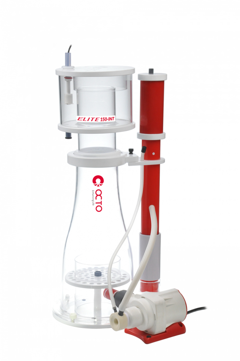 Skimmers – Reef Octopus